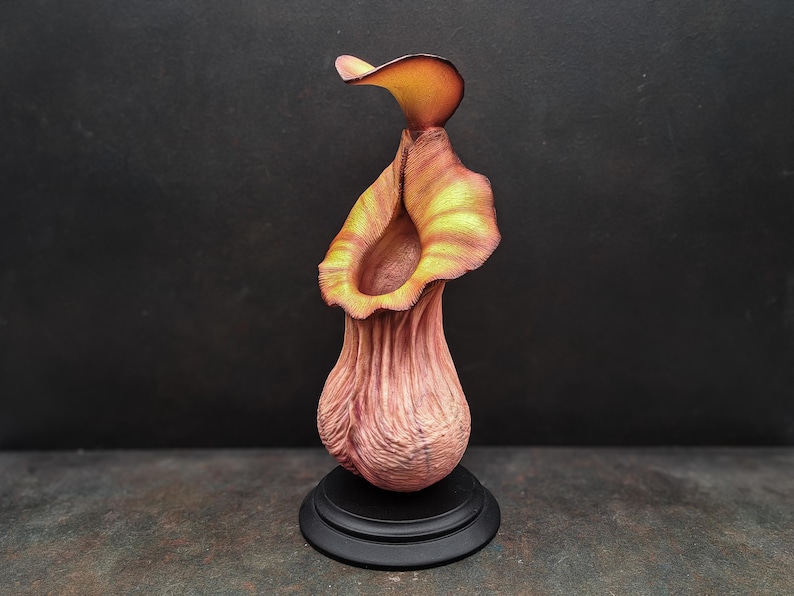 Planticles Weird Pitcher Plant Decor - Etsy
