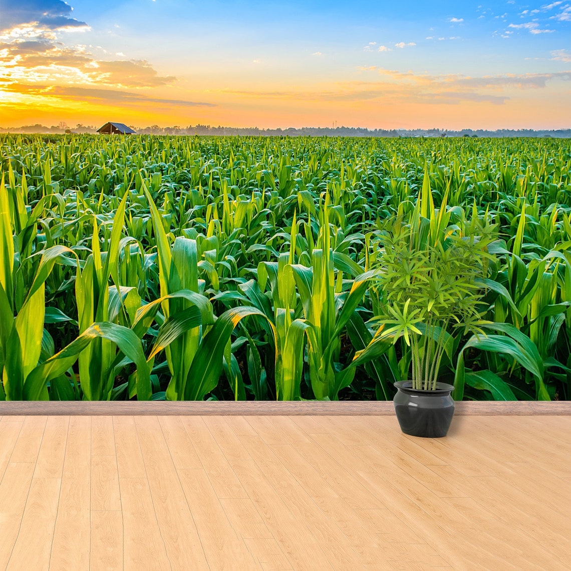 Corn Field Traditional Paste & Glue or Removable Photo Mural | Etsy