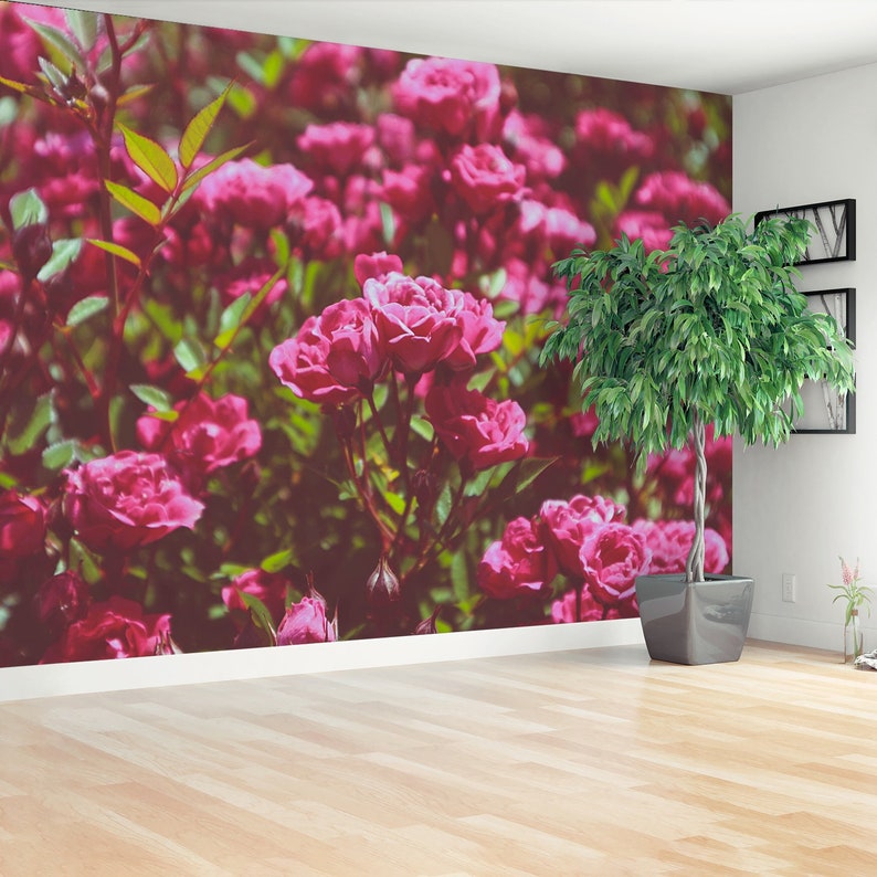 Roses Pink Reusable or Traditional Mural Wallpaper Beautiful - Etsy