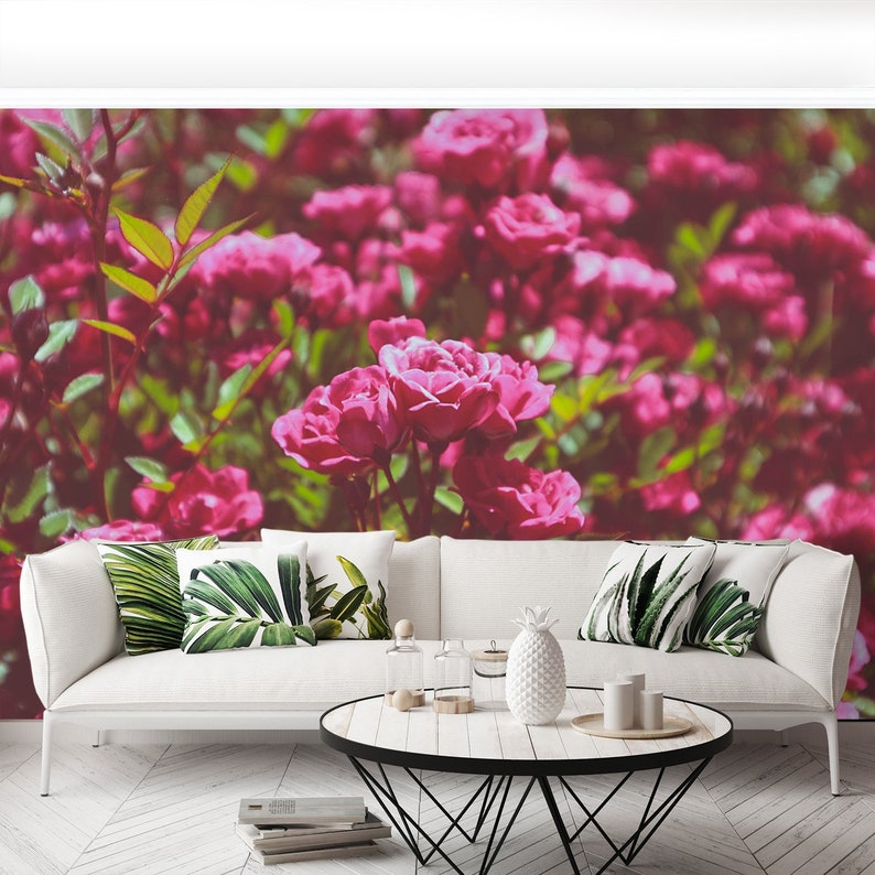 Roses Pink Reusable or Traditional Mural Wallpaper Beautiful - Etsy
