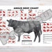Angus Beef Chart Poster big Sized Kitchen Decor Butcher Diagram Meat ...