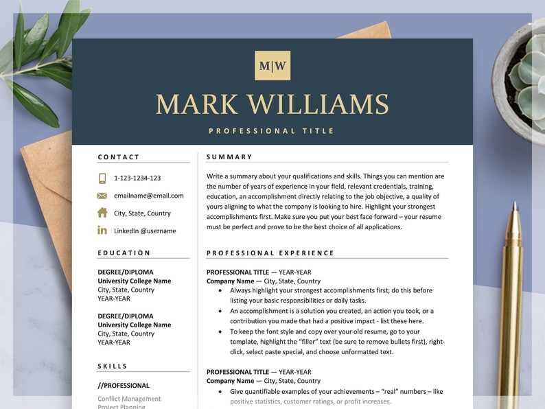 Executive CV Template Bundle CEO Resume Template Design With - Etsy Canada