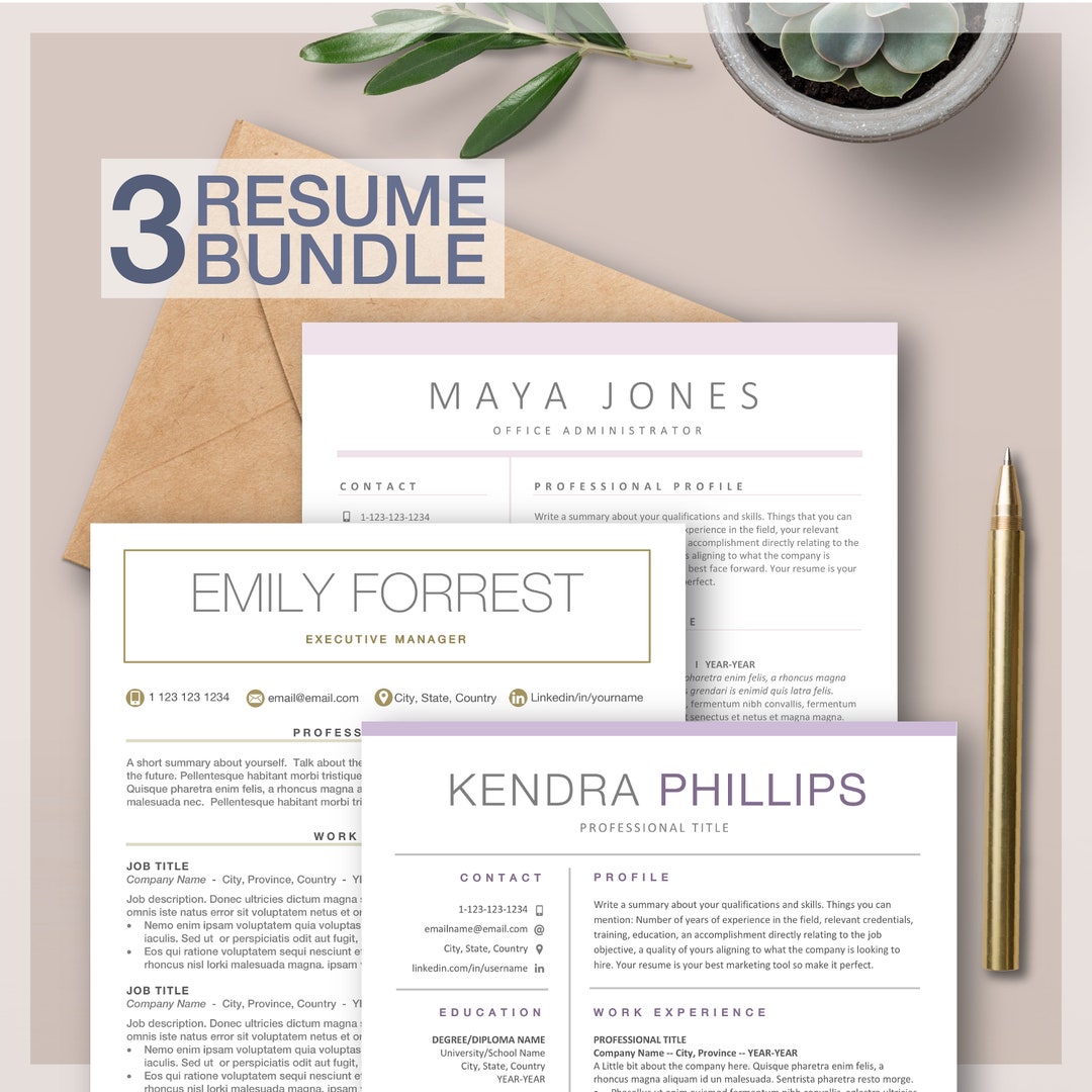 Professional Resume Bundle X3 Executive CV Resumes Modern - Etsy