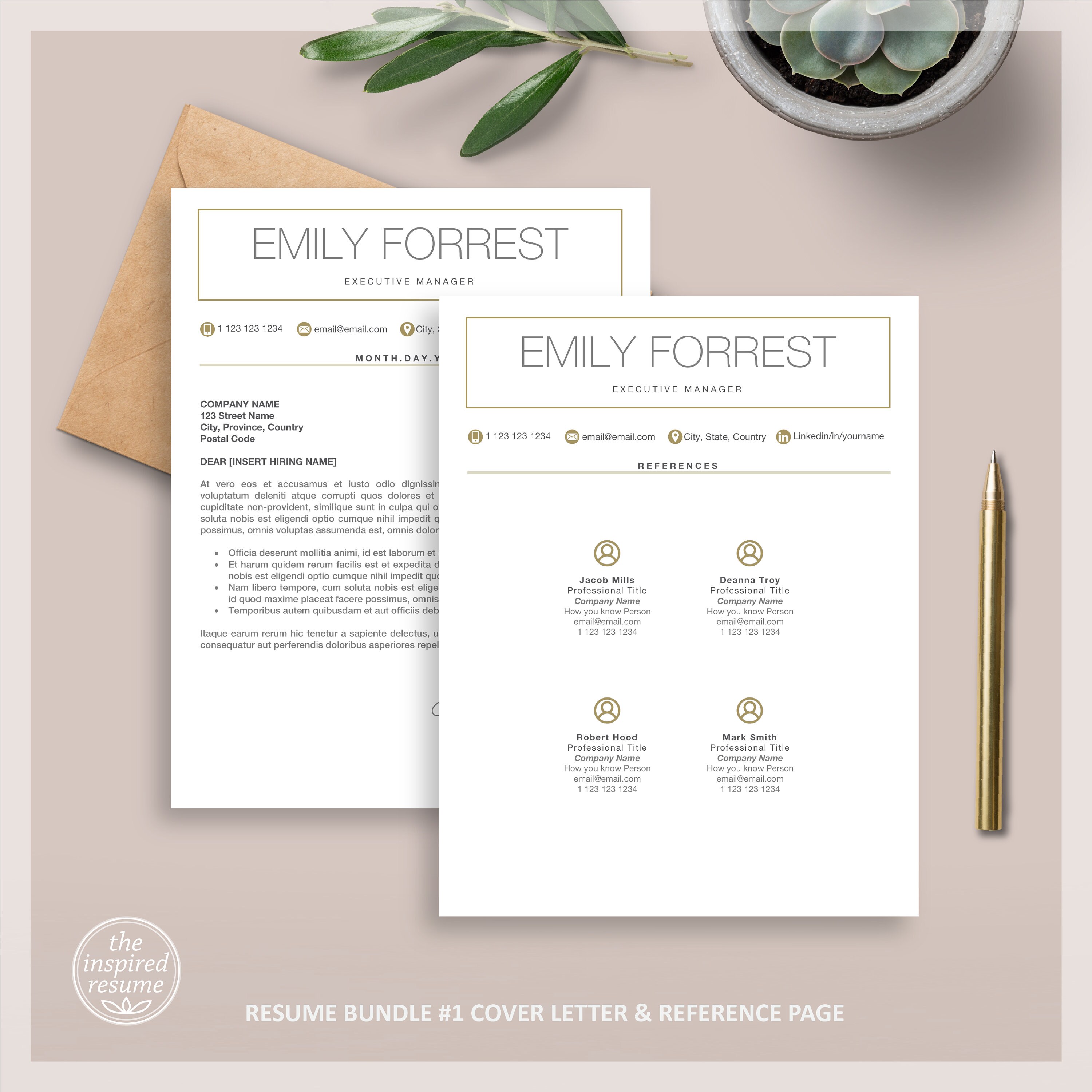 Professional Resume Bundle X3 Executive CV Resumes Modern - Etsy