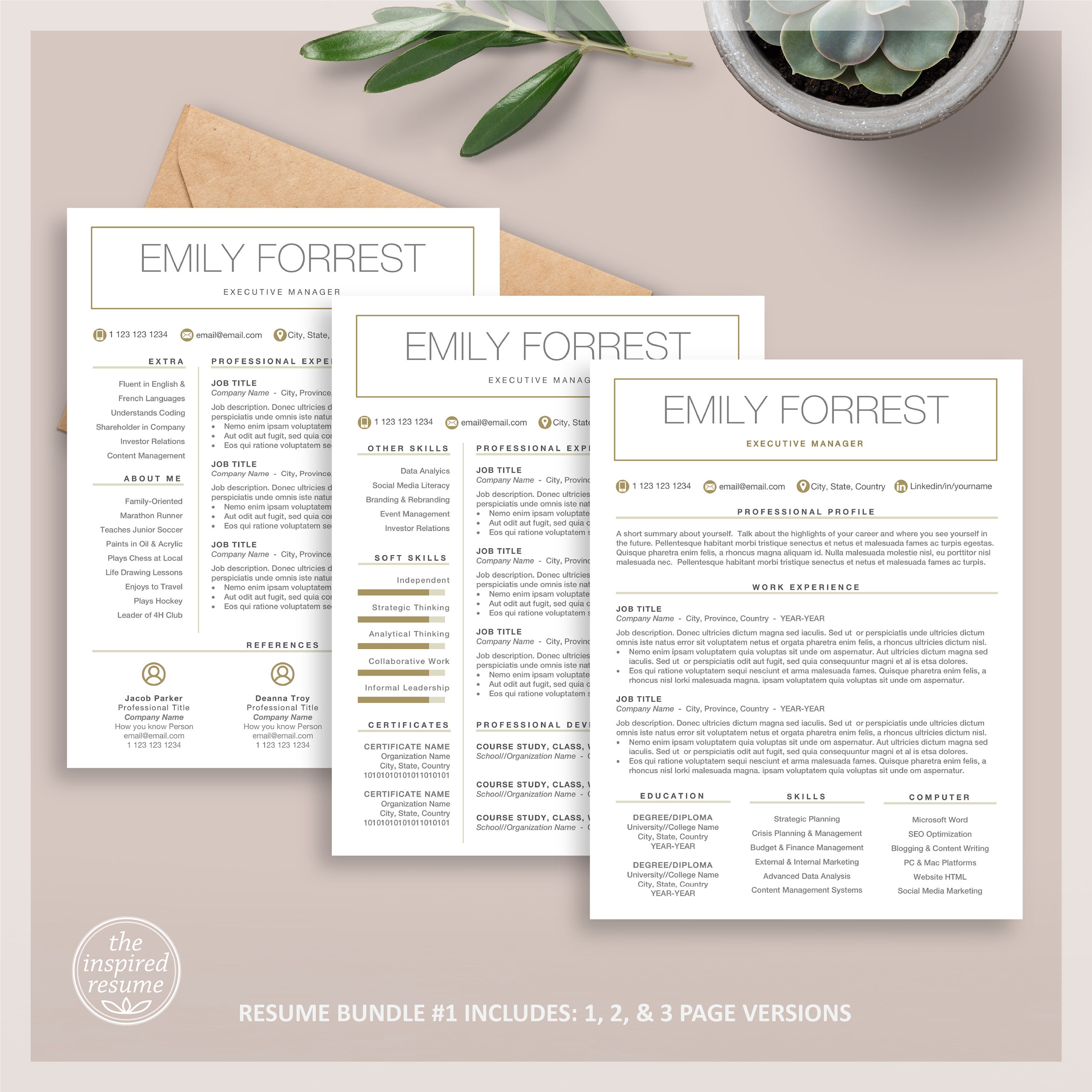 Professional Resume Bundle X3 Executive CV Resumes Modern - Etsy