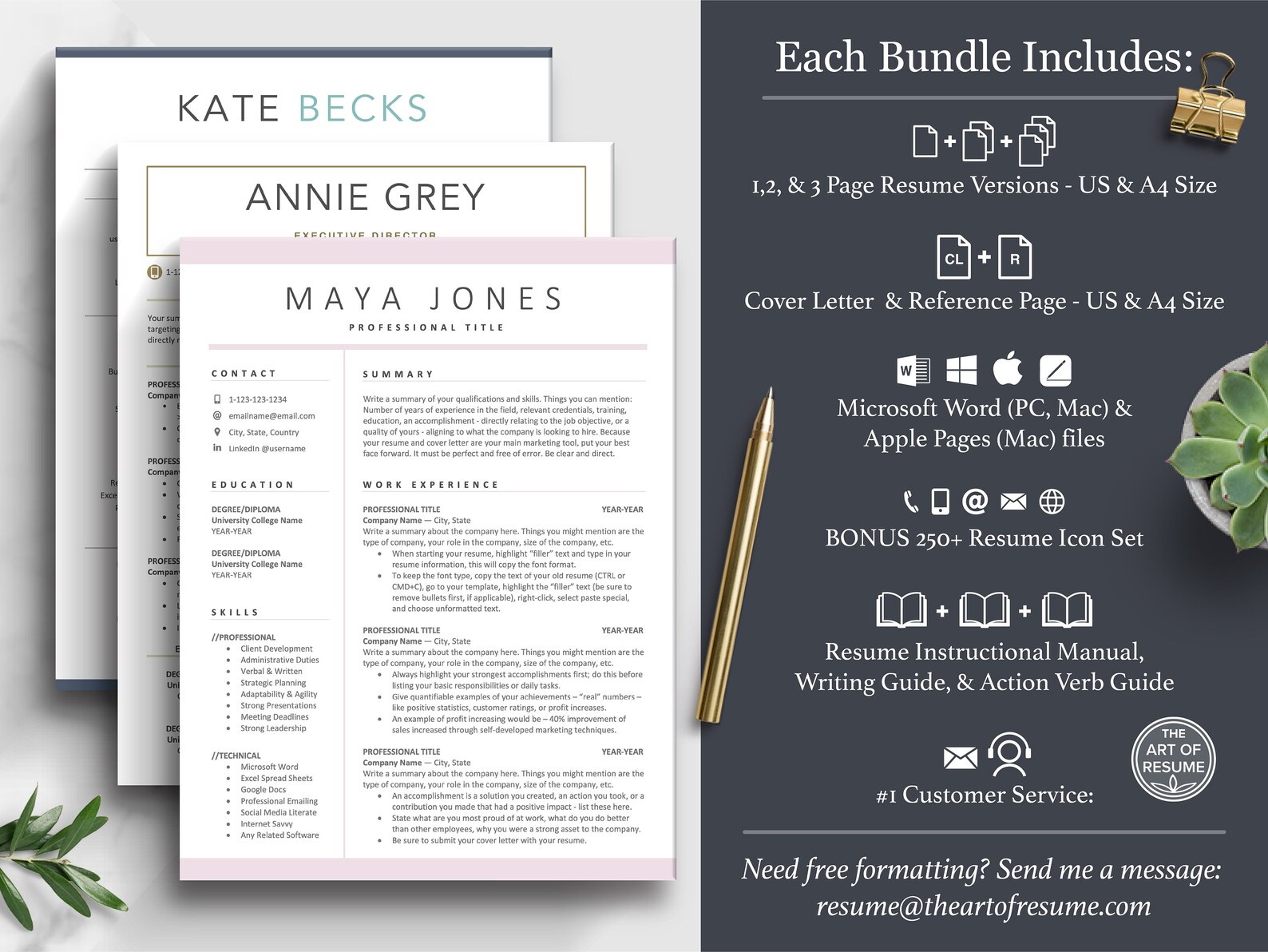 Professional Resume Bundle X3 | Executive CV Resumes | Modern Resumes ...