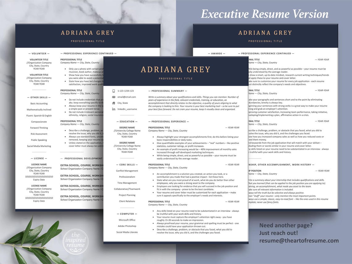Professional Resume Template, Executive Resume Templates, Modern CV ...