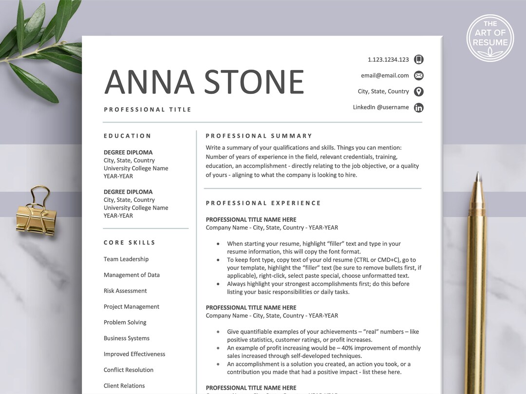 Resume Templates for Word & Mac Pages, Professional Resume Templates ...