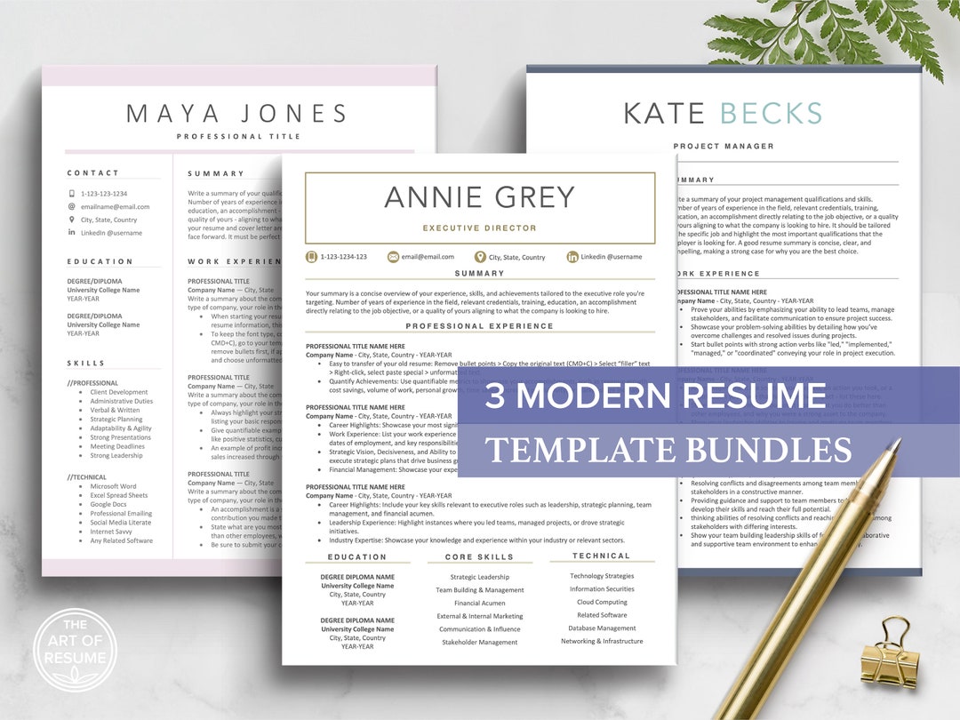 Professional Resume Bundle X3 | Executive CV Resumes | Modern Resumes ...