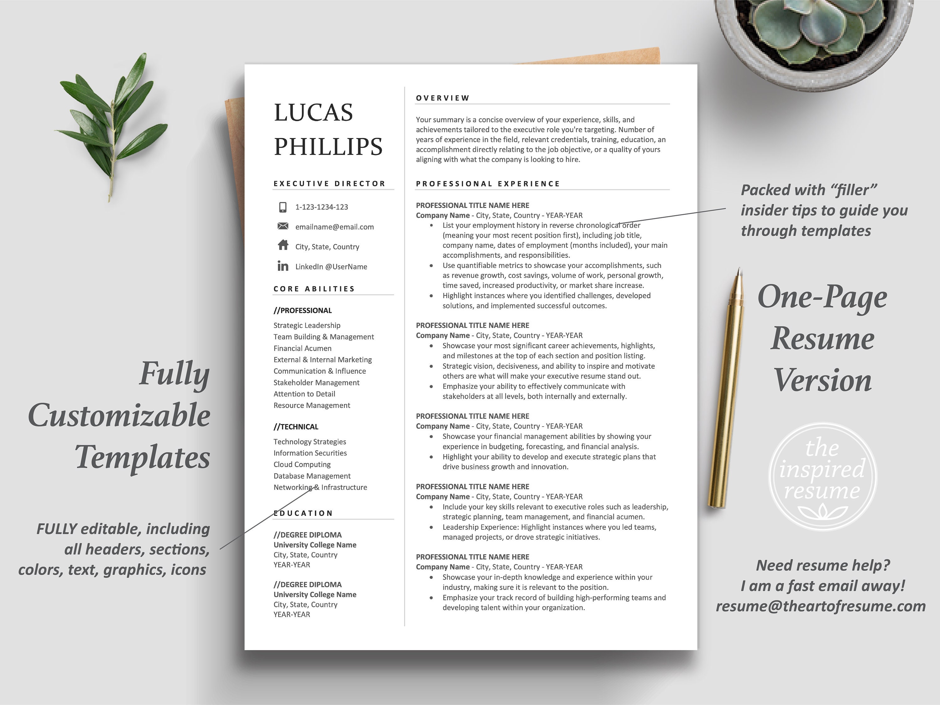 Executive Resume, CV Template, Professional Resume, Resume Template ...