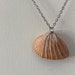 Coral Orange Pierced Transverse Ark Shell Necklace With Silver ...