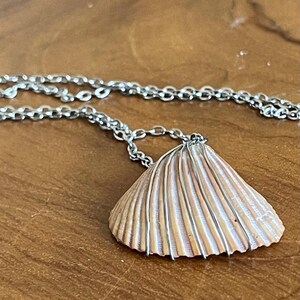 Coral Orange Pierced Transverse Ark Shell Necklace With Silver ...