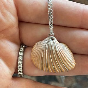 Coral Orange Pierced Transverse Ark Shell Necklace With Silver ...