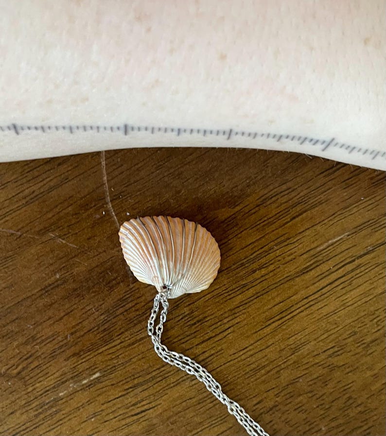 Coral Orange Pierced Transverse Ark Shell Necklace With Silver Foraged ...