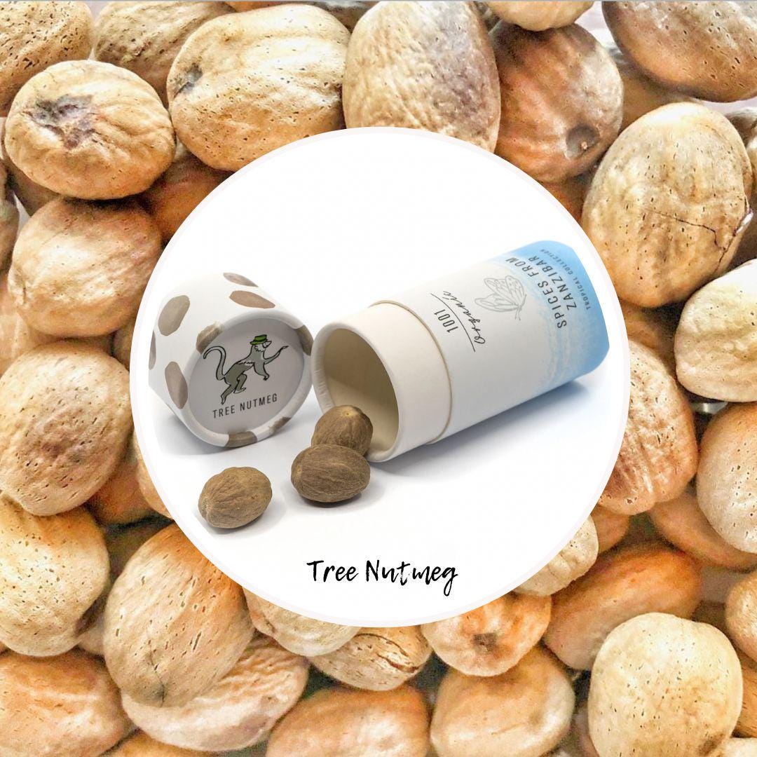 Nutmeg From Zanzibar, Grown and Hand-picked From the Spice Island ...