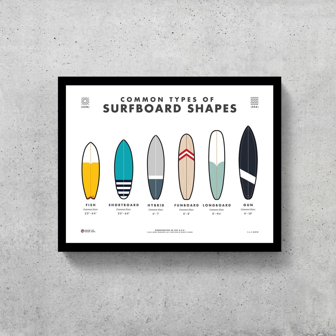 Surfboard Types Poster Digital Download 5 Sizes - Etsy