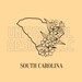 Instant Download South Carolina State Flower Hand Drawn - Etsy