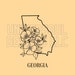 Instant Download - Georgia State Flower - Hand Drawn Design, Custom ...