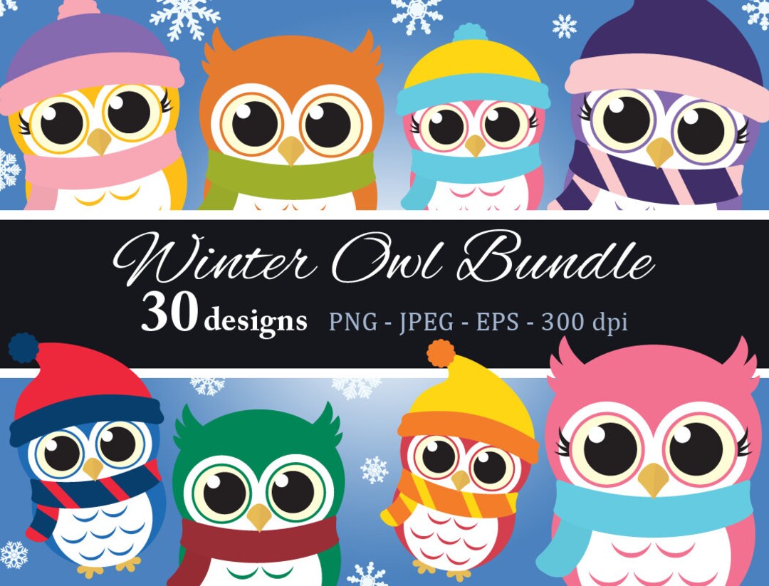 Winter Owl Bundle Clipart, Cute Baby Owl Decoration, Fall Clip Art ...