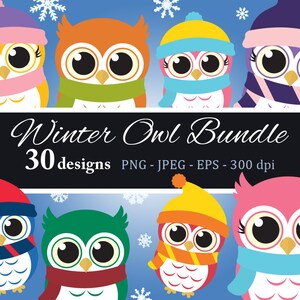 Winter Owl Bundle Clipart, Cute Baby Owl Decoration, Fall Clip Art ...