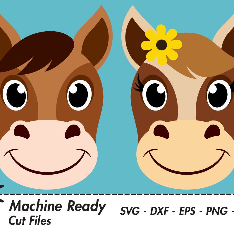 Horses Cute Face Drawing - Etsy