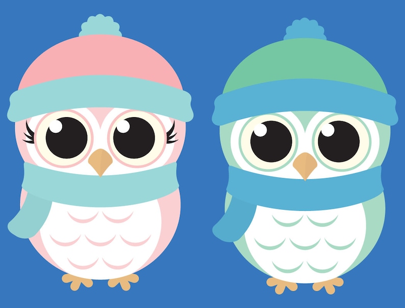 Cute Winter Owl Bundle SVG Cut Files PNG Owls Clipart Baby - Etsy