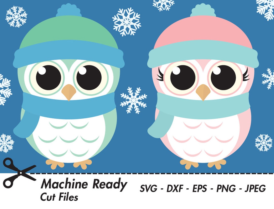 Cute Winter Owl SVG Cut Files, PNG Owls Clipart, Pink Owl, Green Owl ...