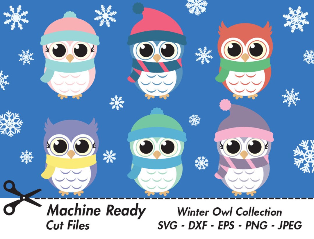 Cute Winter Owl Bundle SVG Cut Files, PNG Owls Clipart, Baby Owl Art ...