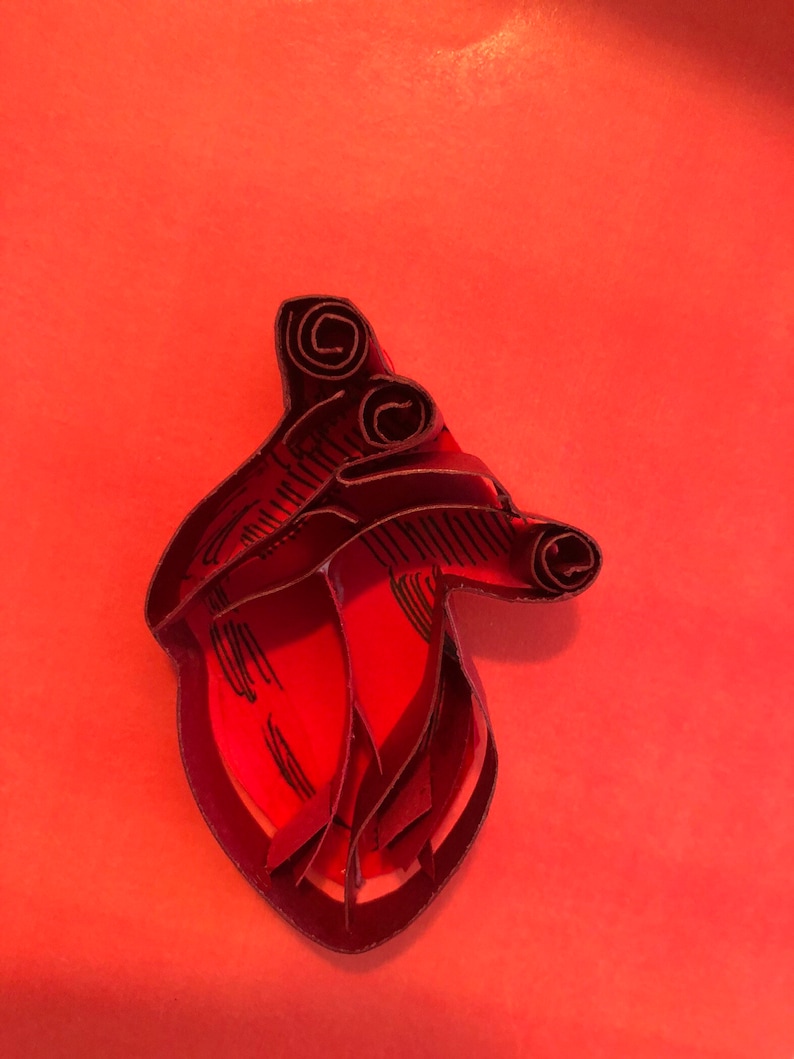 Heart Paper Quilled - Etsy