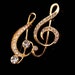 2 Music Notes Brooches / Vintage Pair Pins / Music Teacher - Etsy