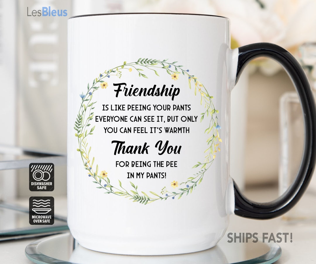 Friendship is Like Peeing Your Pants Mug, Friendship Mug, Gift for Best ...