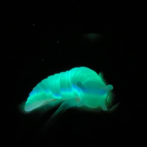 Jumbo Glow in the Dark Slug | Fidget Toy | Collectors | Articulating ...