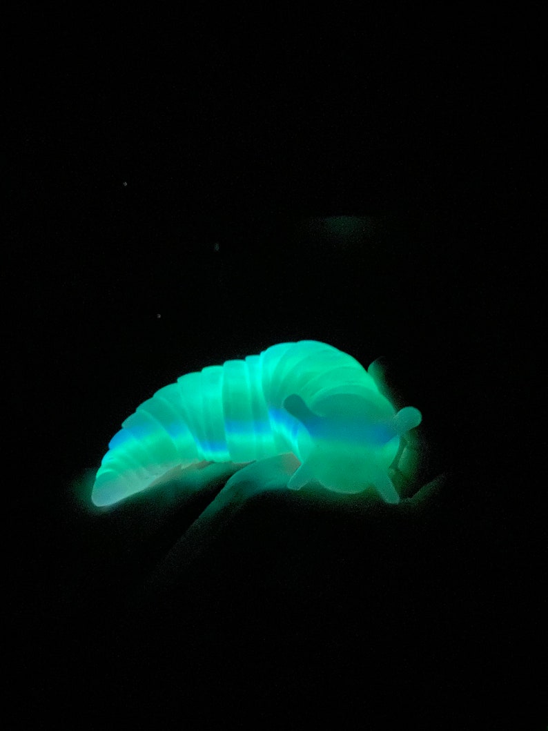 Jumbo Glow in the Dark Slug Fidget Toy Collectors - Etsy