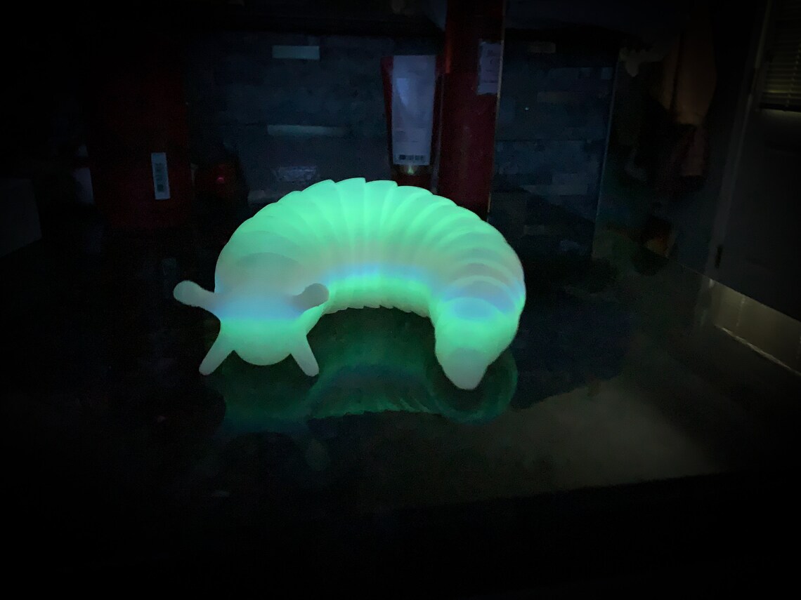 Jumbo Glow in the Dark Slug Fidget Toy Collectors - Etsy