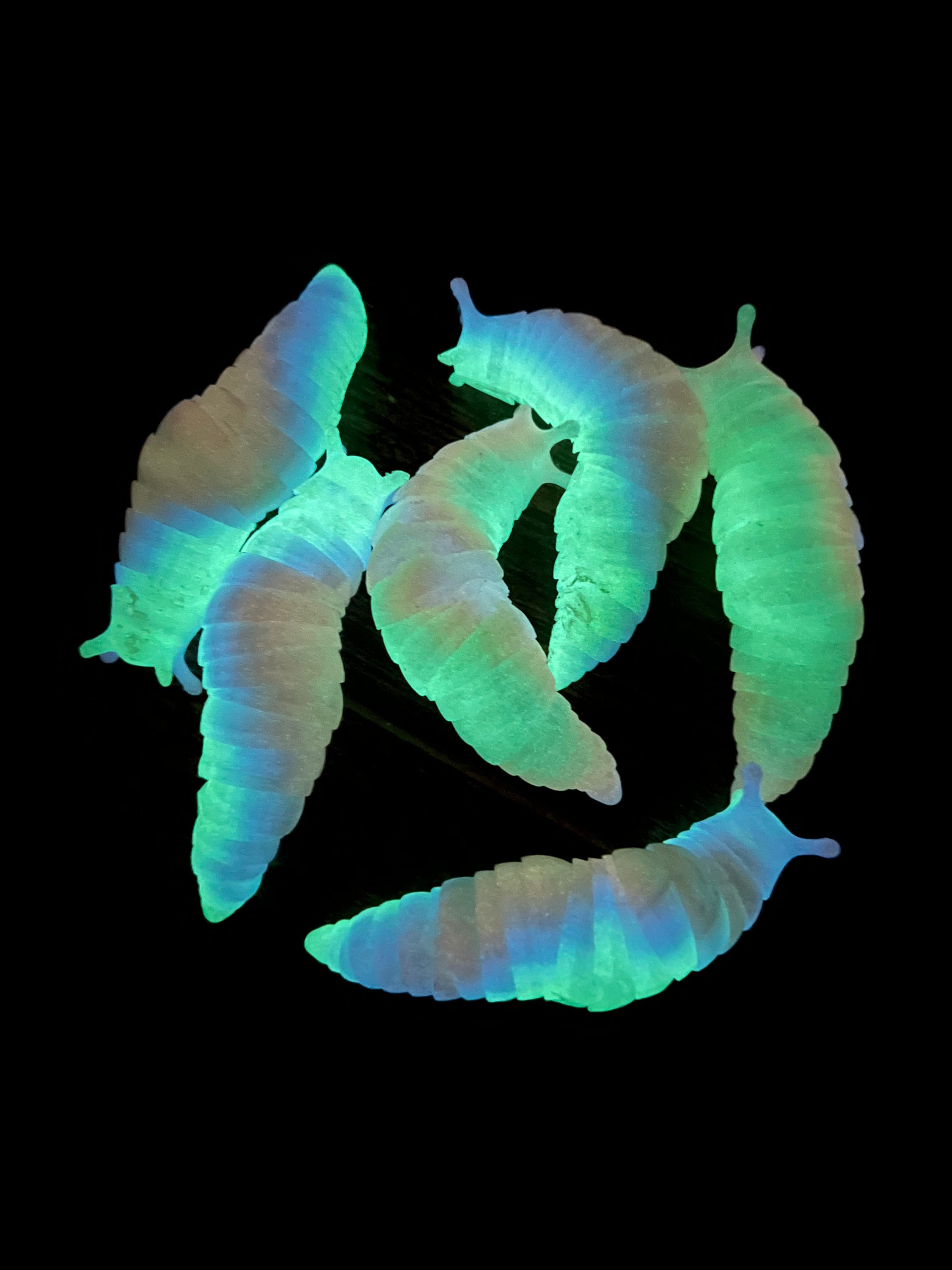 Rainbow Glow in the Dark Slug Fidget Slug Articulating - Etsy