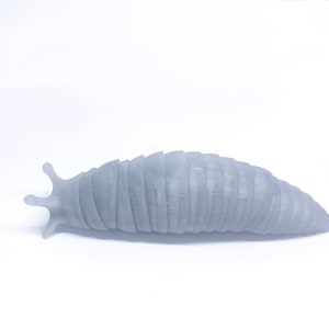 Rainbow Glow in the Dark Slug | Fidget Slug | Articulating Slug ...