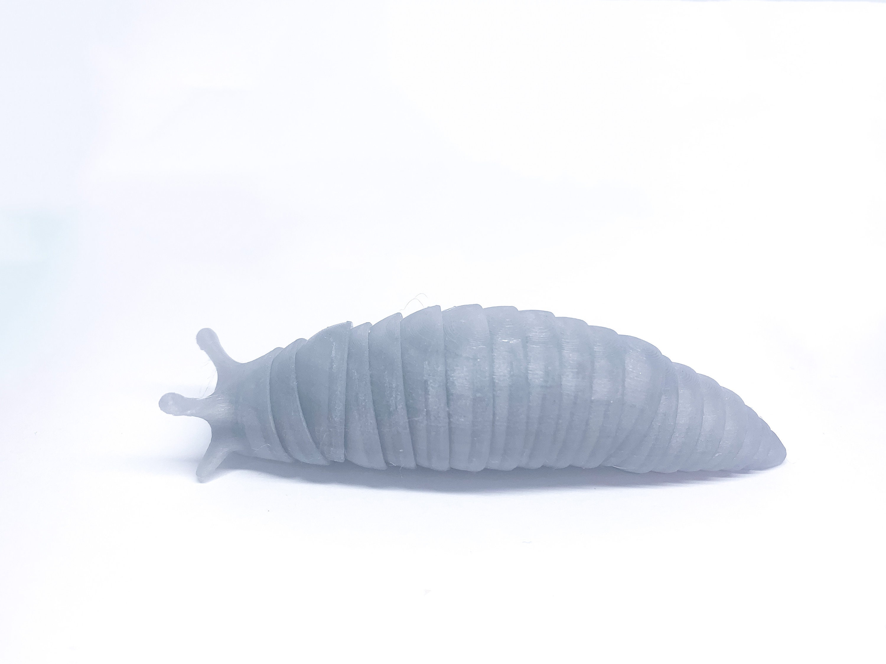 Rainbow Glow in the Dark Slug Fidget Slug Articulating - Etsy