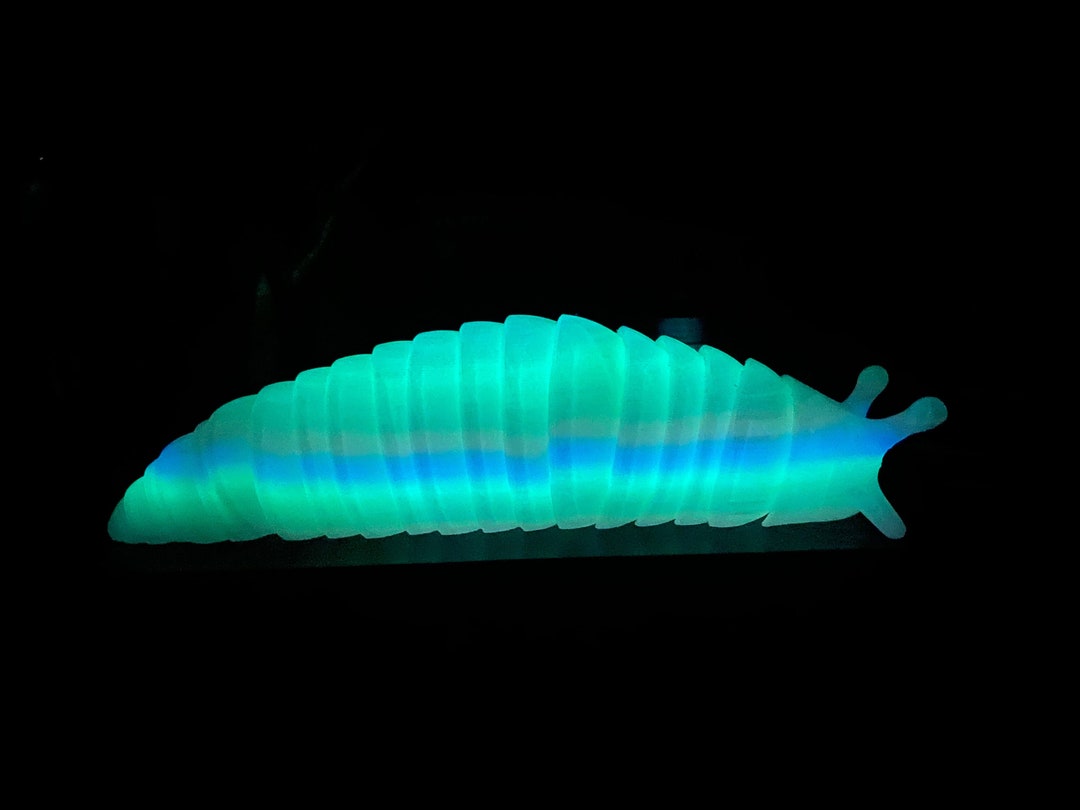 Jumbo Glow in the Dark Slug | Fidget Toy | Collectors | Articulating ...