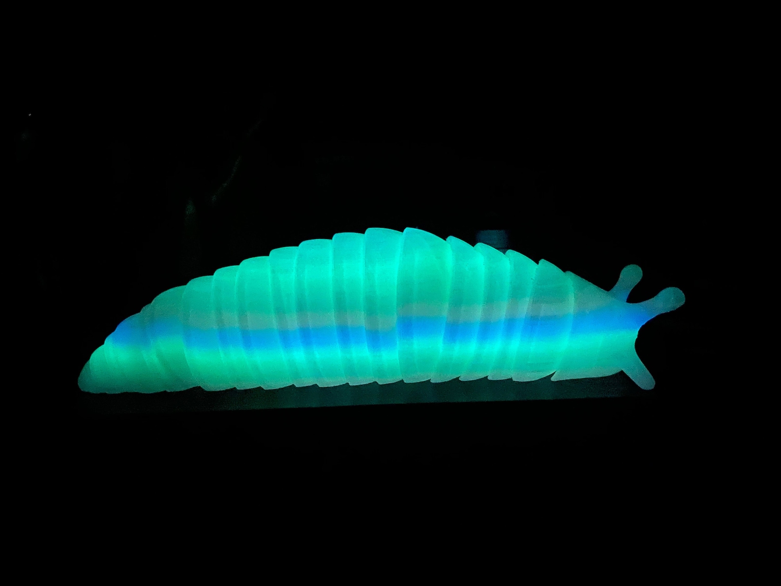 Jumbo Glow in the Dark Slug | Fidget Toy | Collectors | Articulating ...