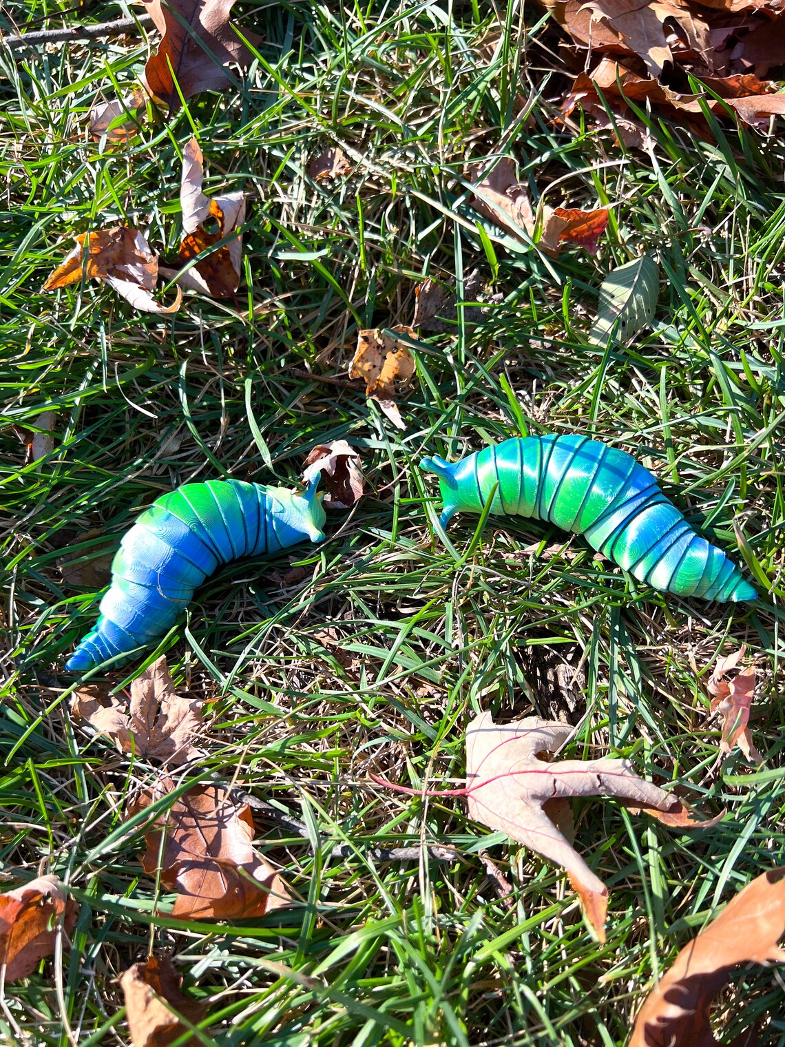 Color Shifting Slug | 3D Printed Fidget Desk Toy - Etsy