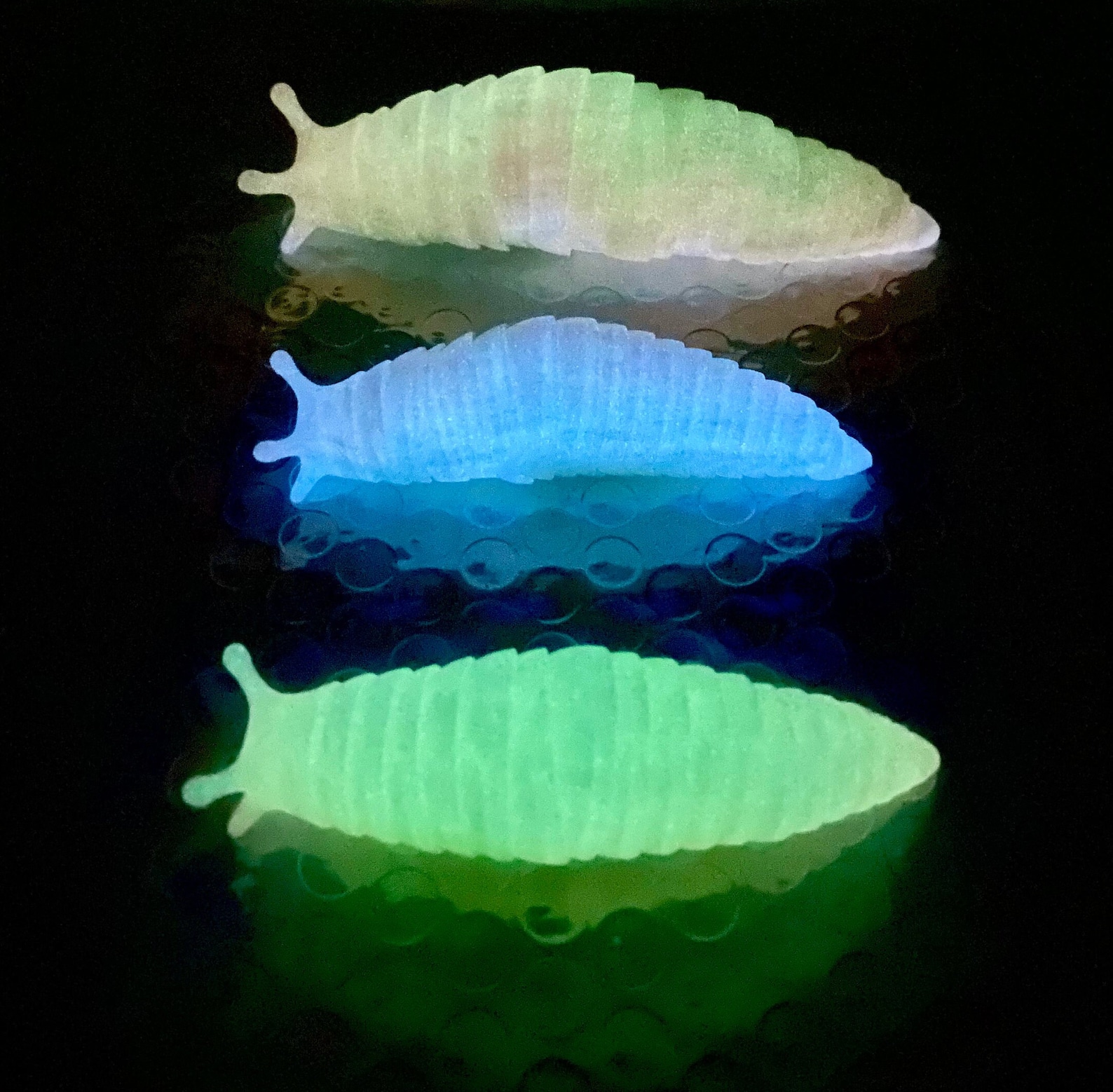 Rainbow Glow in the Dark Slug Fidget Slug Articulating - Etsy