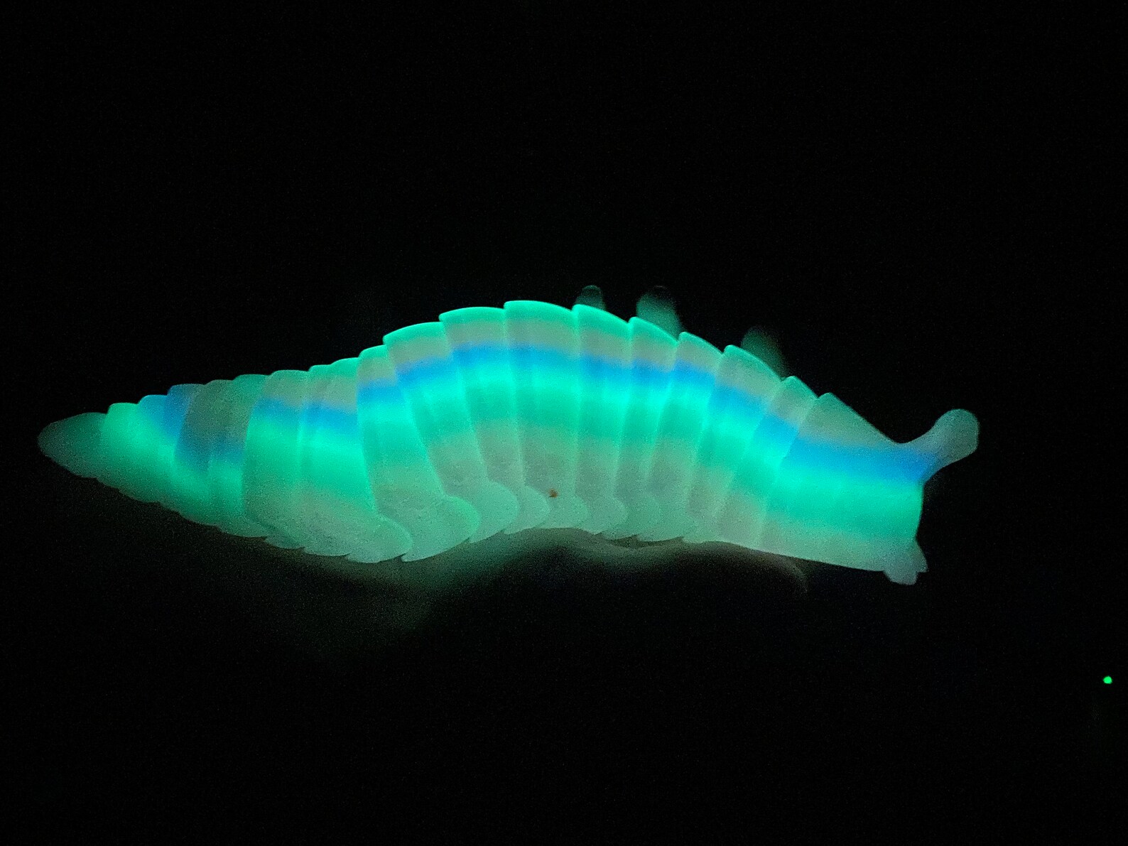 Jumbo Glow in the Dark Slug Fidget Toy Collectors - Etsy
