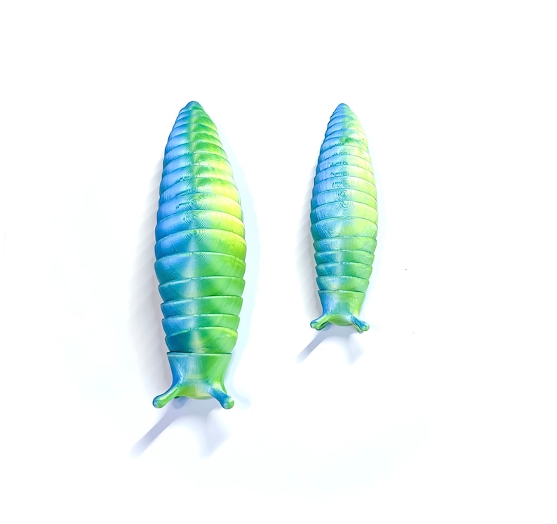 Color Shifting Slug | 3D Printed Fidget Desk Toy - Etsy