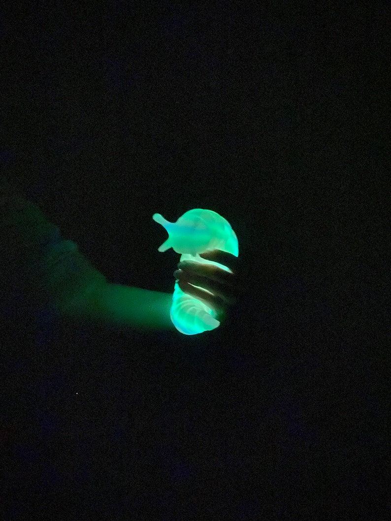 Jumbo Glow in the Dark Slug Fidget Toy Collectors - Etsy