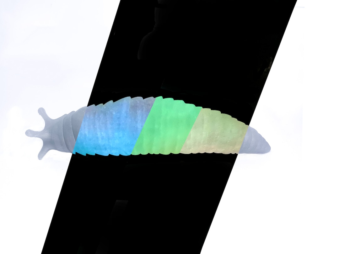 Rainbow Glow in the Dark Slug | Fidget Slug | Articulating Slug ...