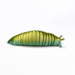 Rainbow 3D Printed Slug | Mini Desk Fidget Toy - Etsy