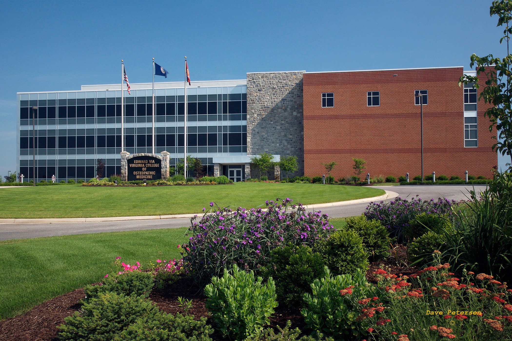 Vcom-virginia, the Edward via College of Osteopathic Medicine - Etsy