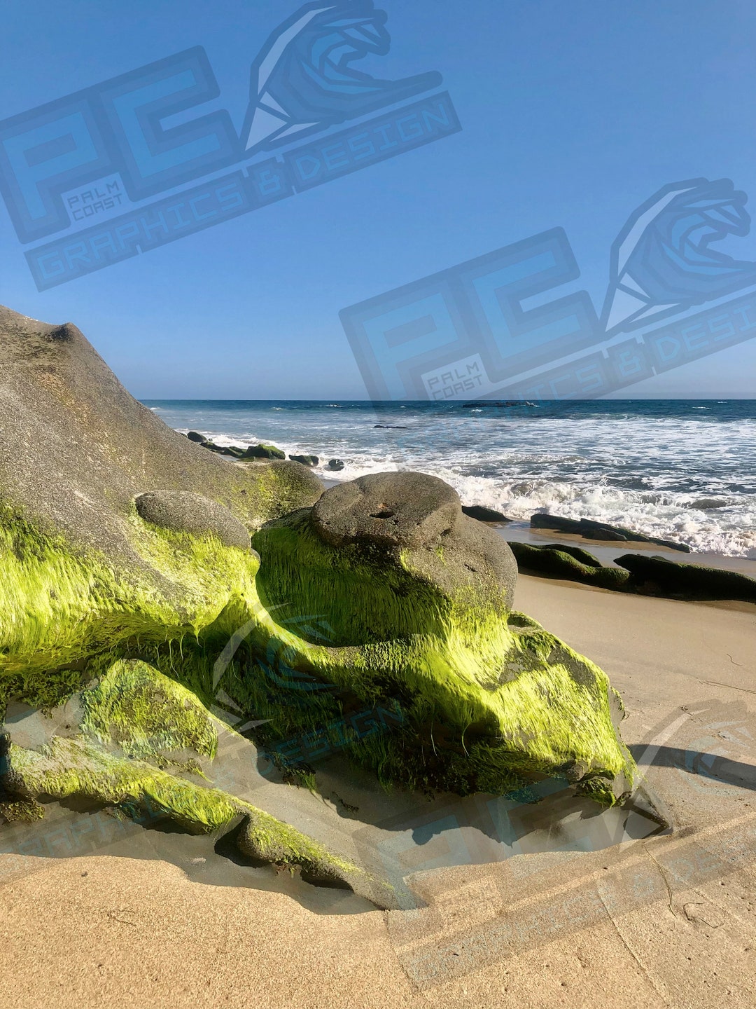 Laguna Beach Mossy Green Ocean Rock Beach Photo High Resolution Digital ...