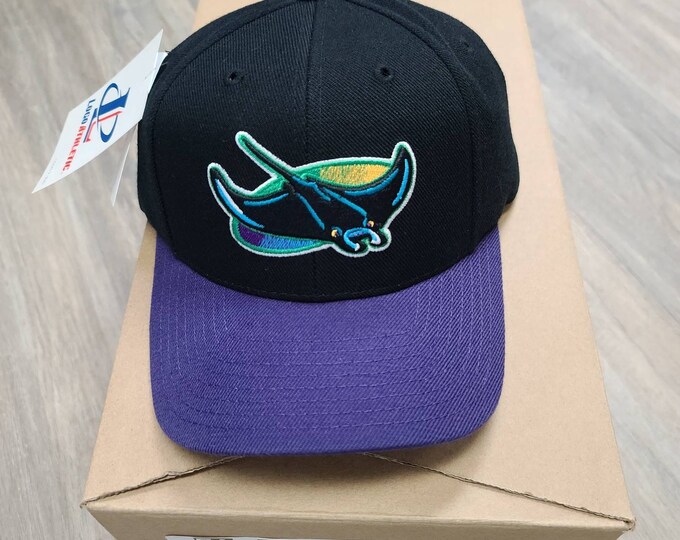 Vintage Tampa Bay Devil Rays Snapback - Etsy
