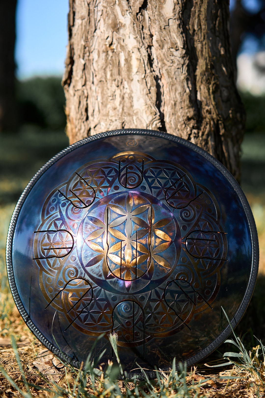 Steel Tongue Drum Flower of Life, 14 Inch Tank Drum, 440 Hz or 432 Hz ...